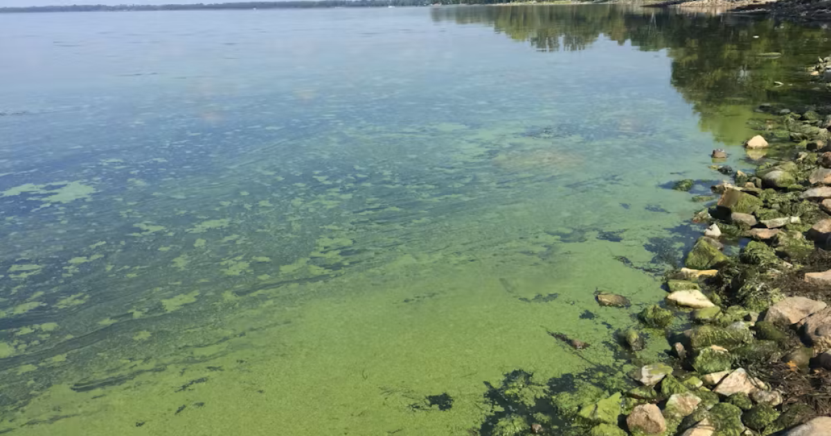 Déclinaisons sur l’eau - Magazine FORMES